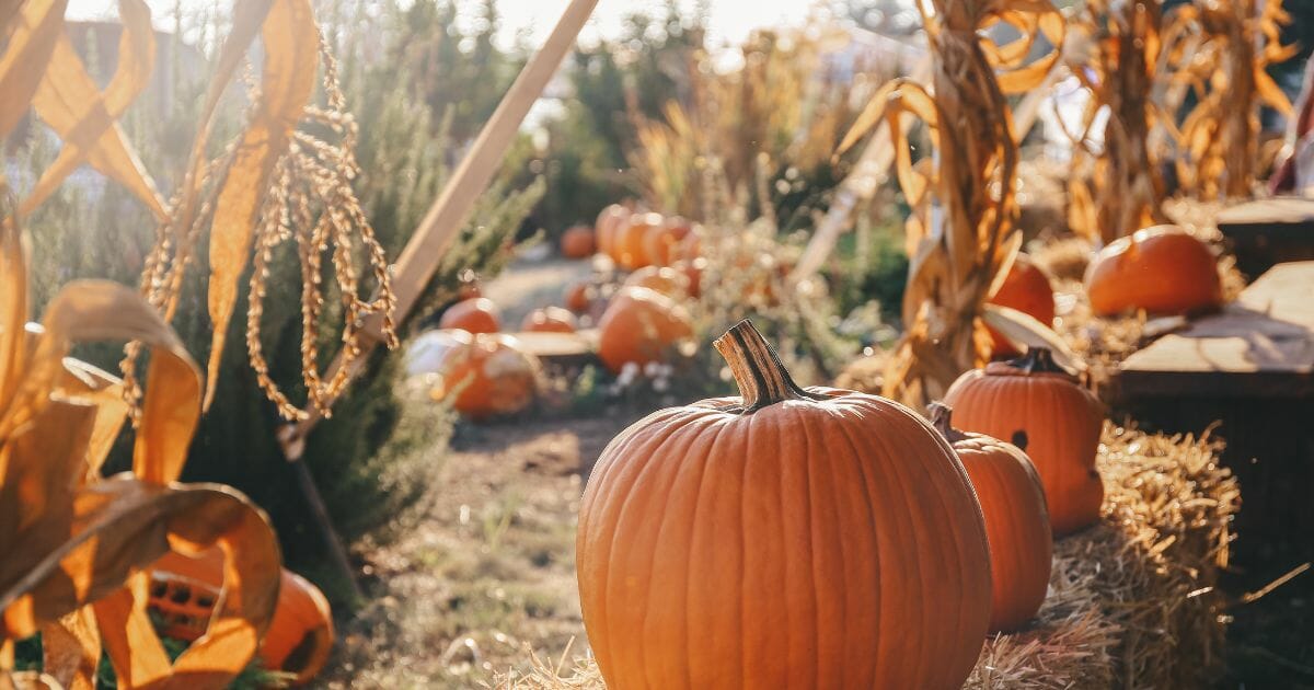 Embracing Autumn: Extend Outdoor Living in New Hampshire | LaMontagne ...